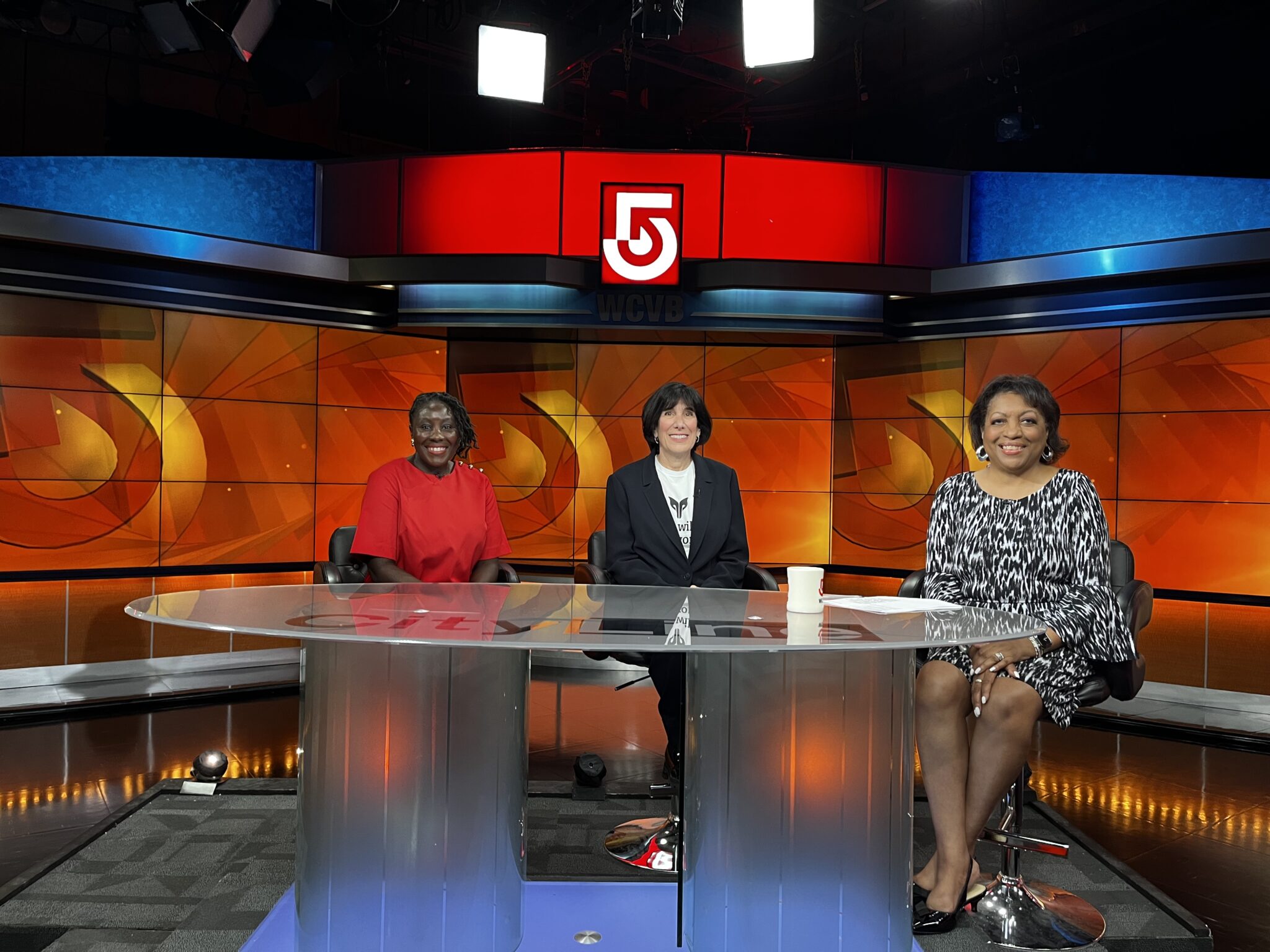 Wily on WCVB 5's CityLine - The Wily Network